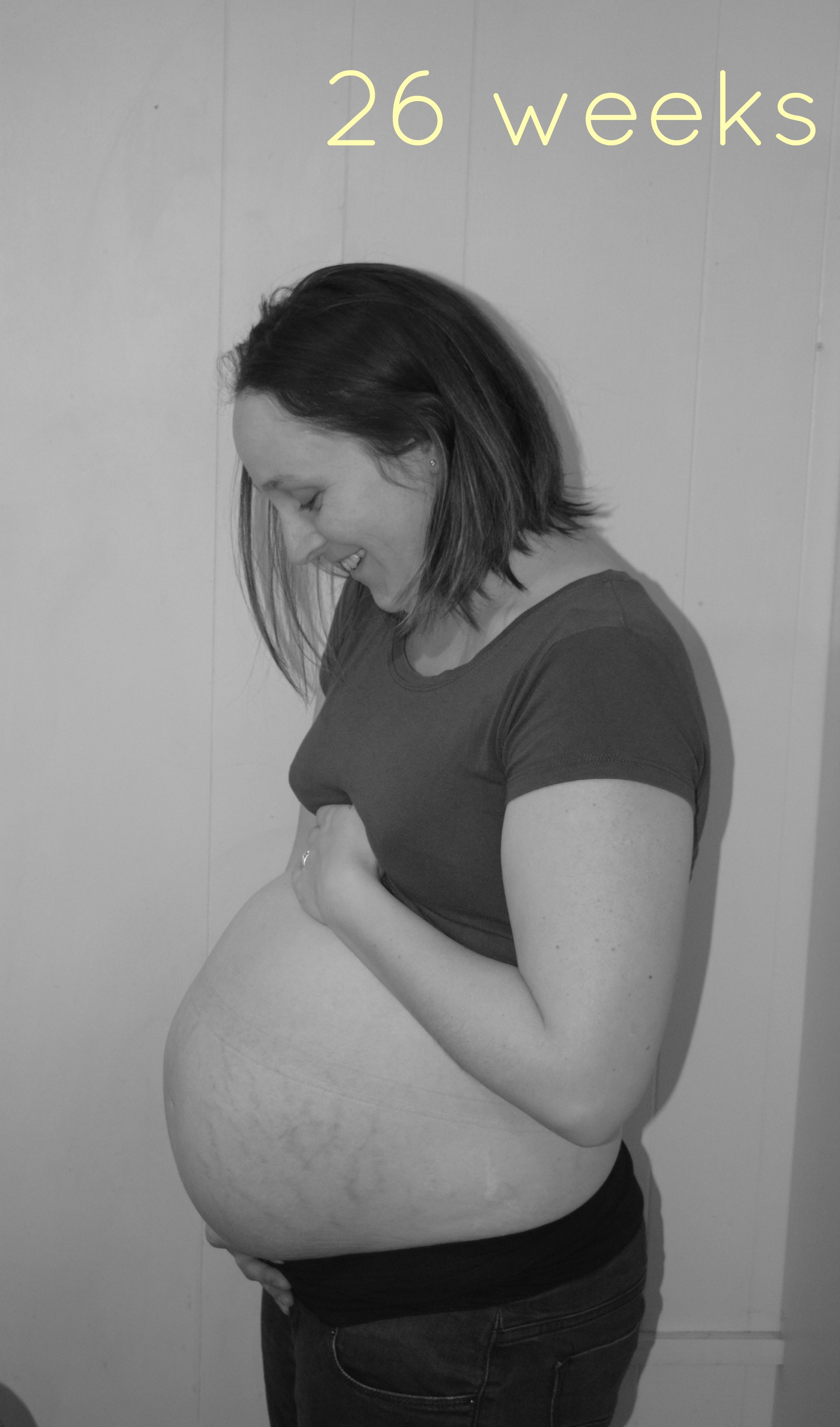 Bump Watch 26 Weeks Family Fever